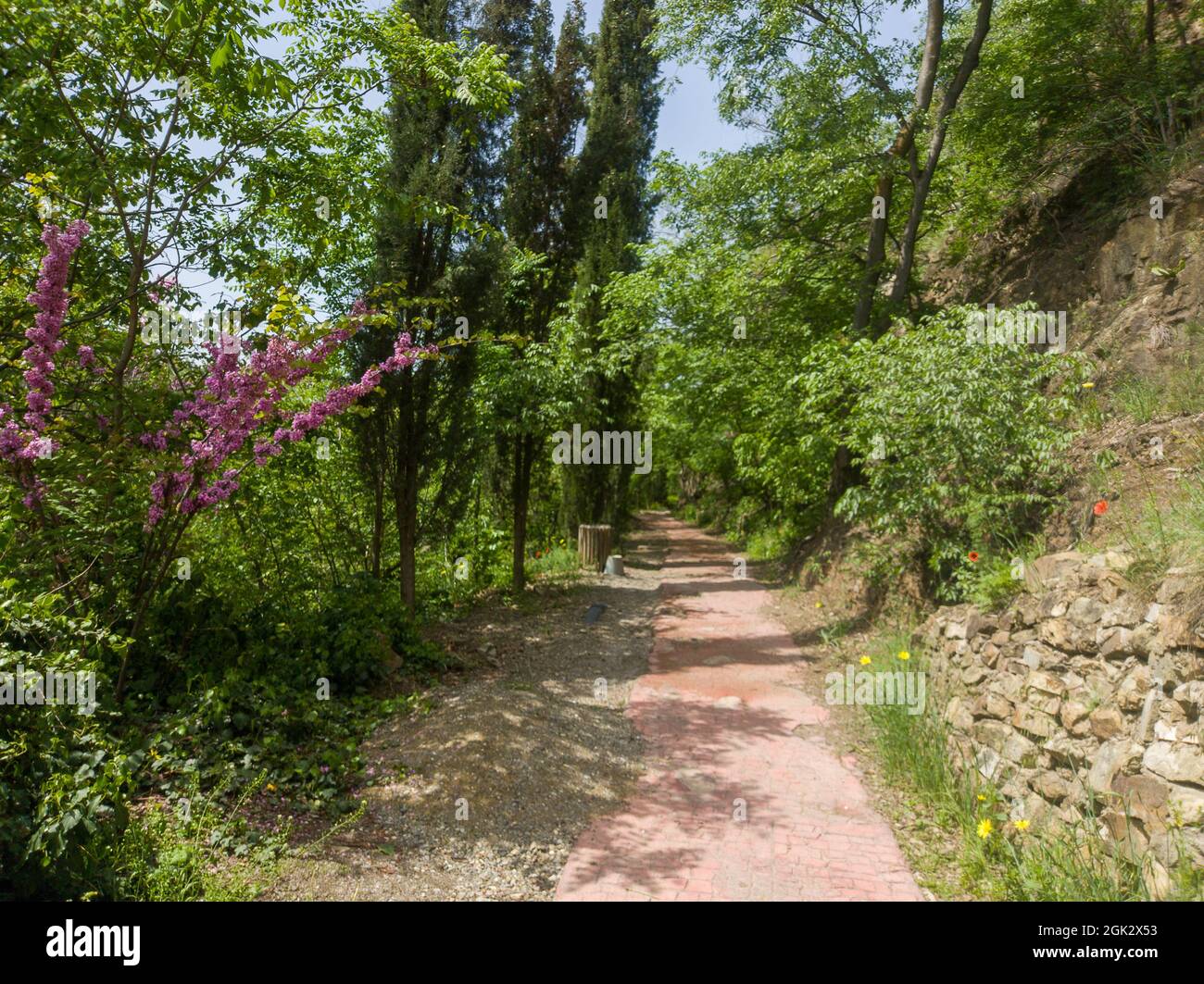 Tbilisi nature ecological botanic garden - park for green flora Stock ...