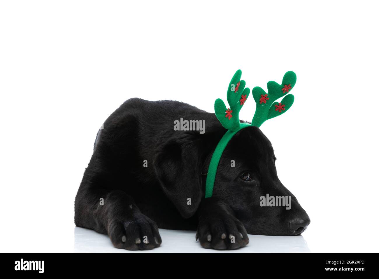 Tirede hi-res stock photography and images - Alamy