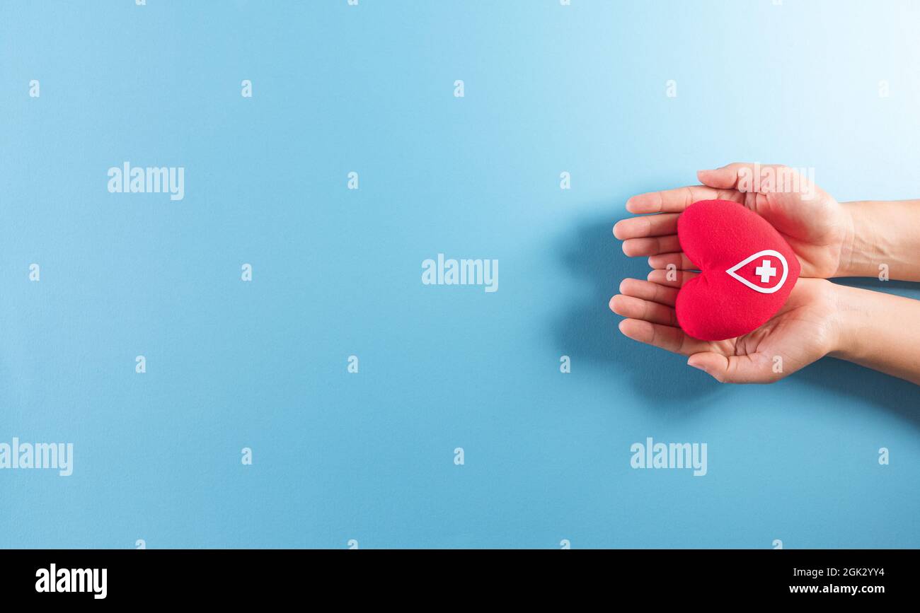 Medical and donor concepts. Hand holding a handmade red heart with a ...