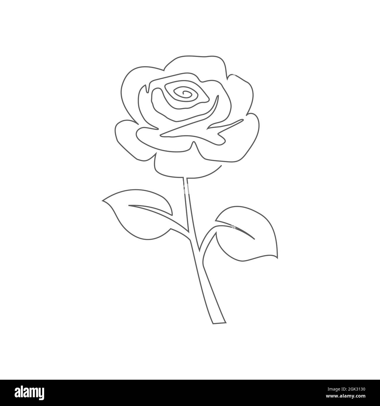 Rose One line drawing on white background Stock Vector Image & Art - Alamy