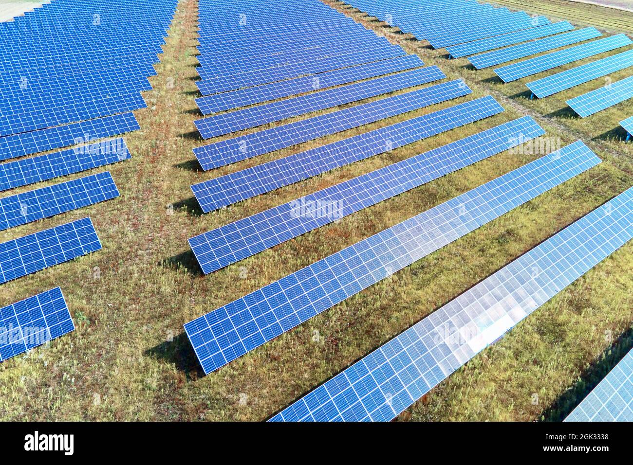 Row of solar panels in the field. Solar battery farm, aerial view ...