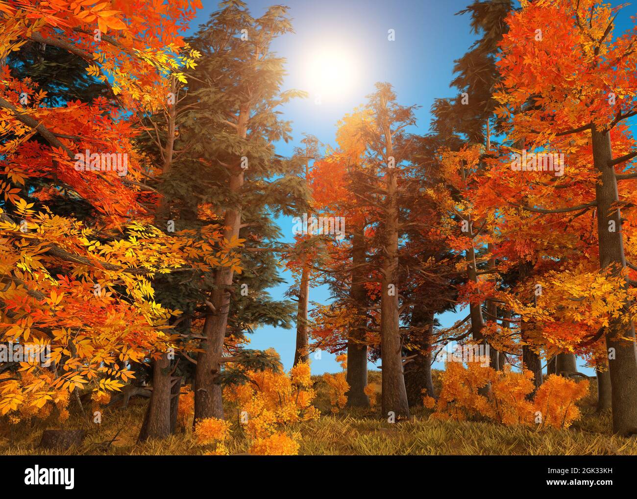 Digitally rendered deciduous autumn forest, 3d illustration Stock Photo ...