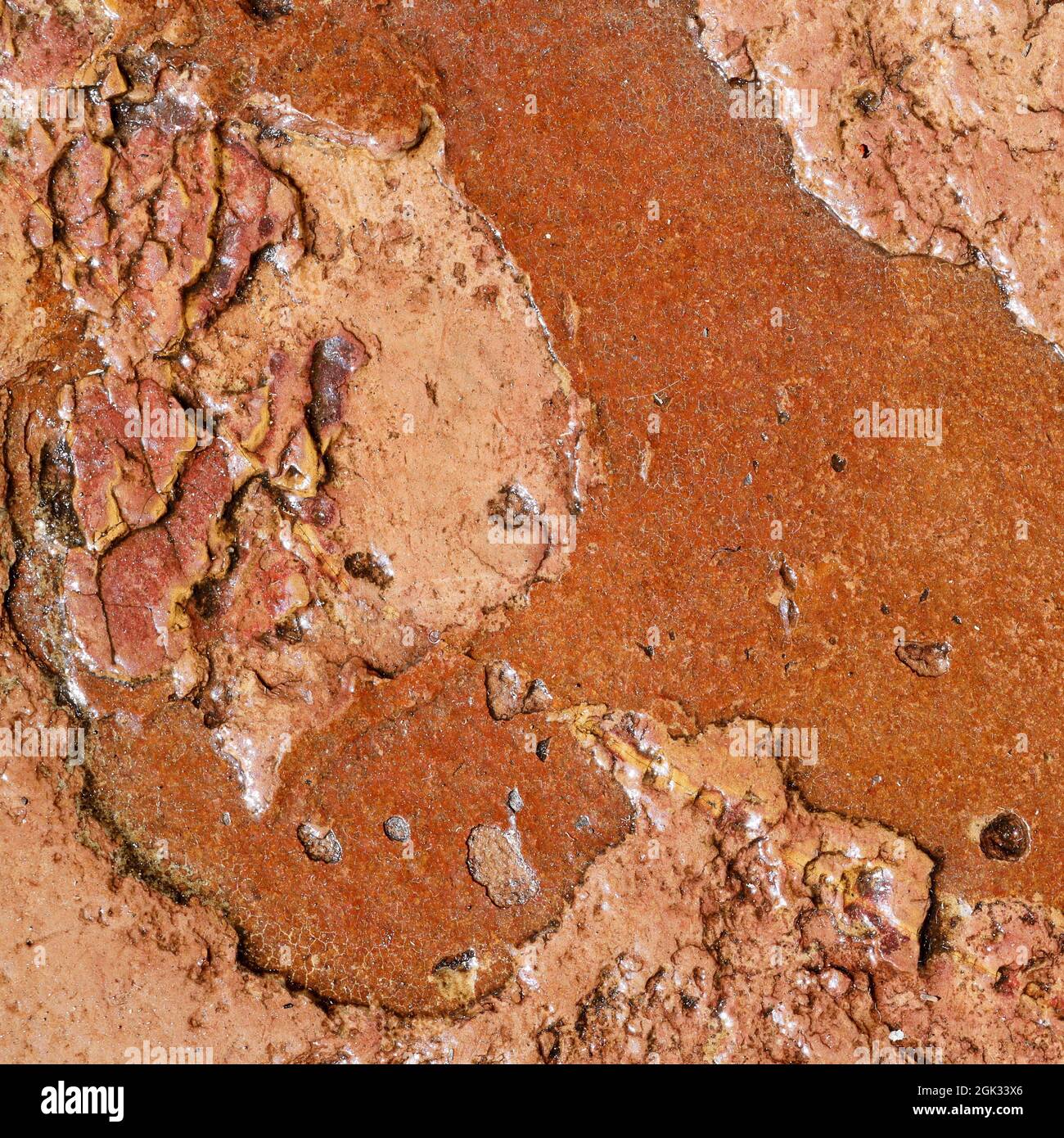 Earthy colours hi-res stock photography and images - Alamy