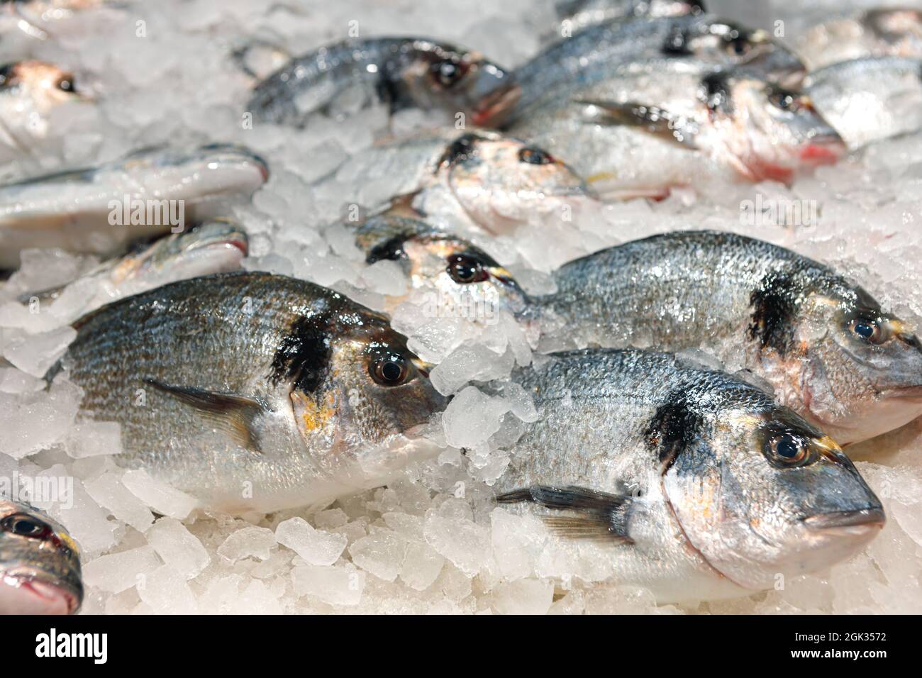 Fresh fish assorted on ice counter in supermarket Stock Photo - Alamy