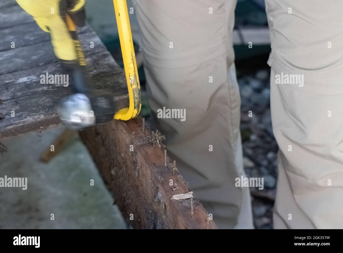 yellow crowbar hammering into floor boards for porch Stock Photo - Alamy