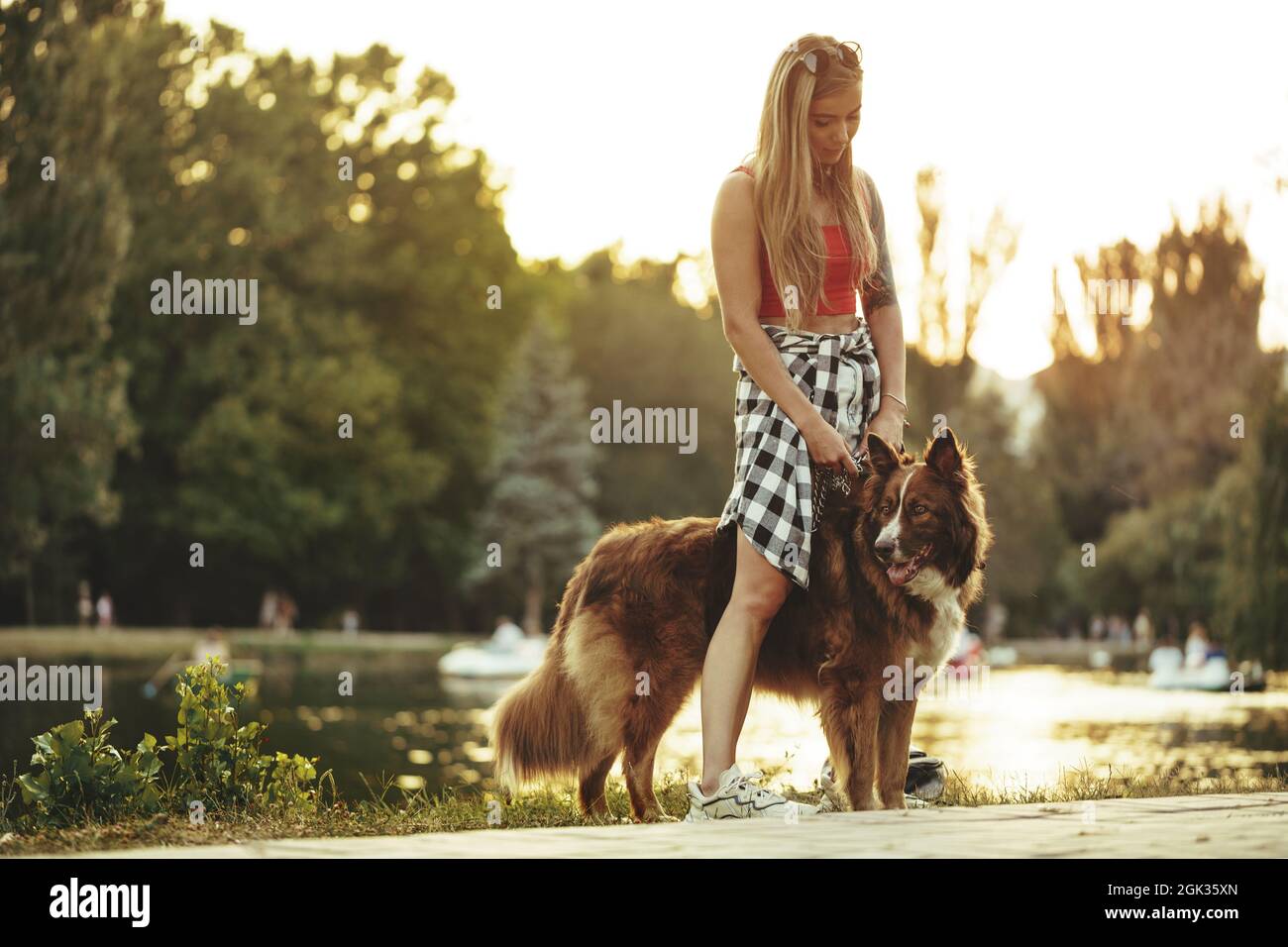 Border Collie dog on a walk in park with it's female owner Stock Photo ...