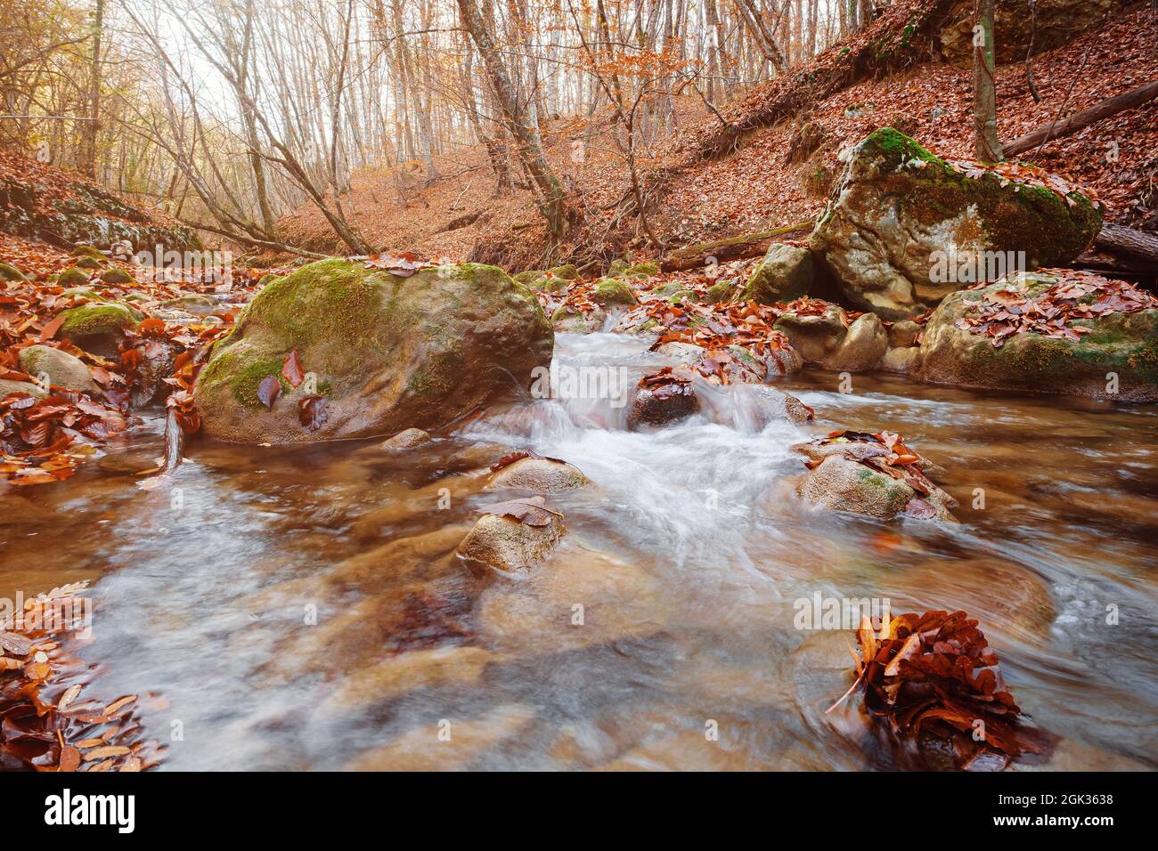 Autumn forest river creek view. Creek from the mountain waterfall in ...