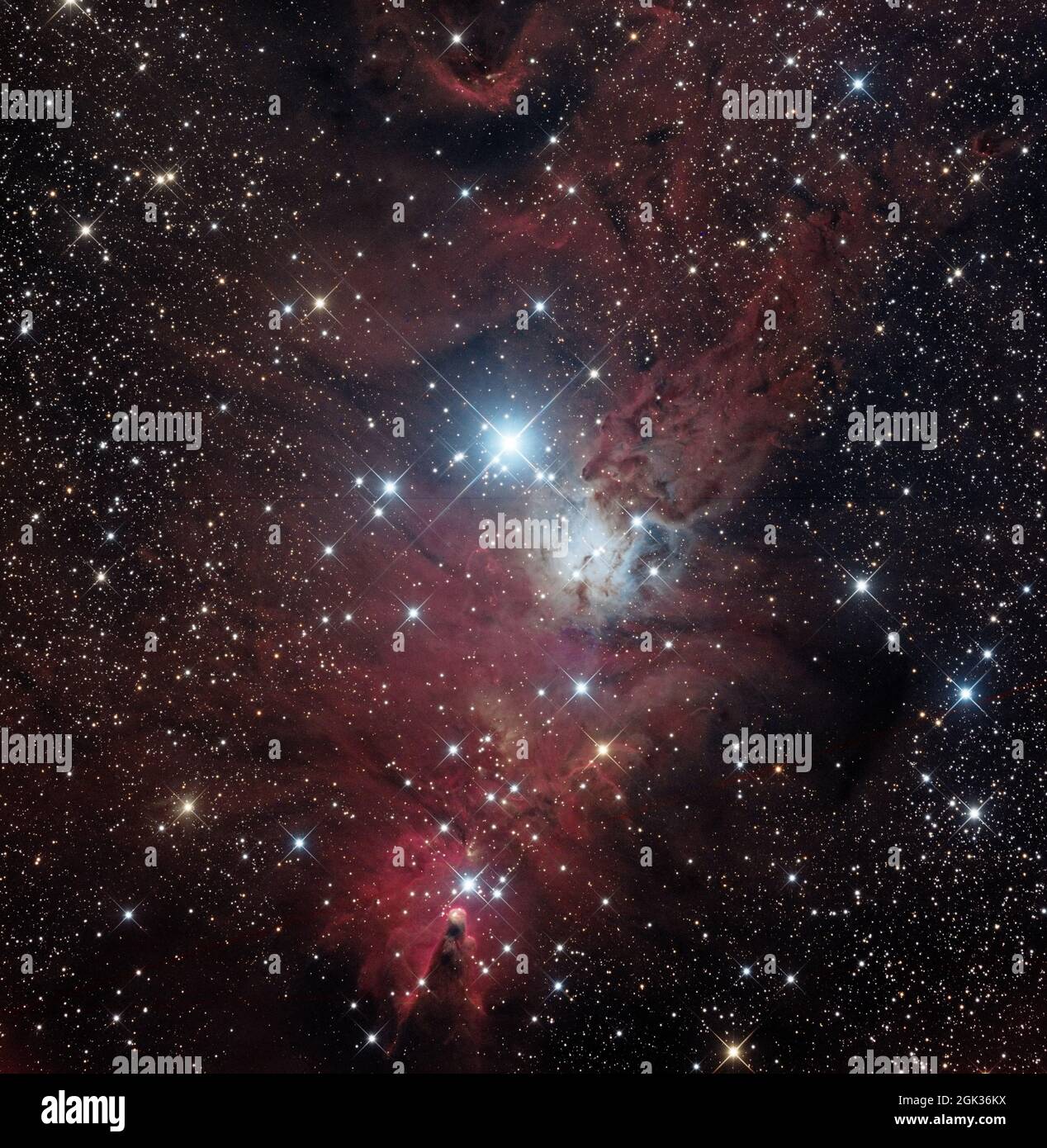 Resembling a beast rearing its head from a crimson sea, the Cone Nebula ...