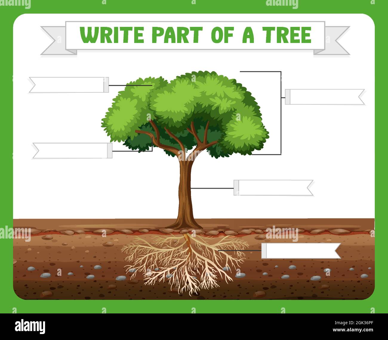 Write parts of a tree worksheet for kids illustration Stock Vector ...