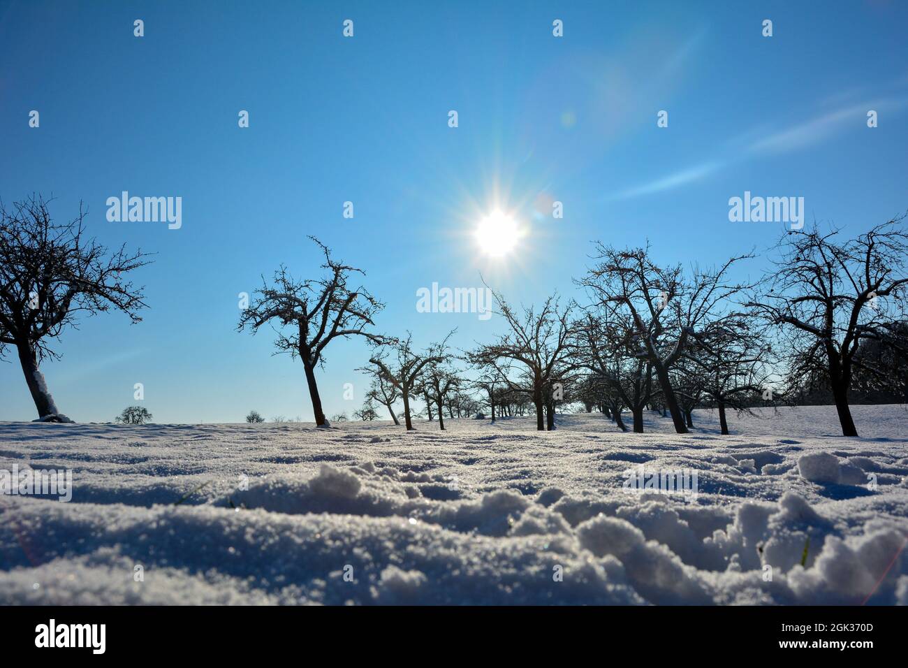 Nature in winter, with lots of snow, trees, sun and blue skies Stock ...
