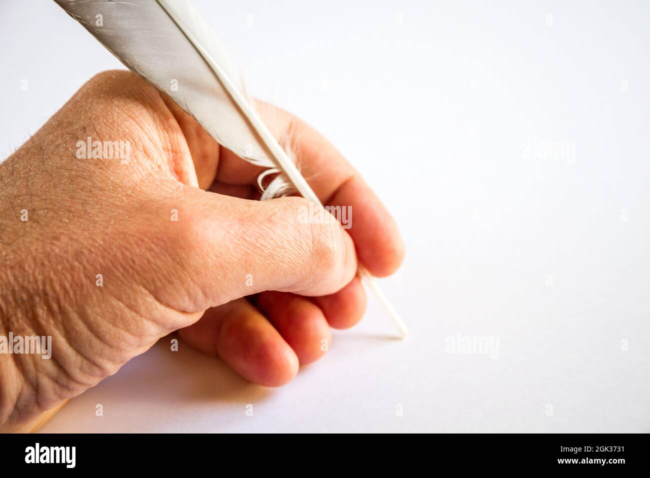 hand writing with a bird feather isolated on white background Stock ...