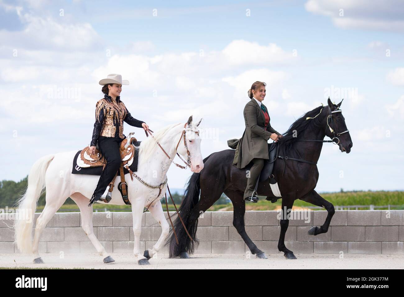 Tennessee Walking Horse. Two riders on black and white stallion ...