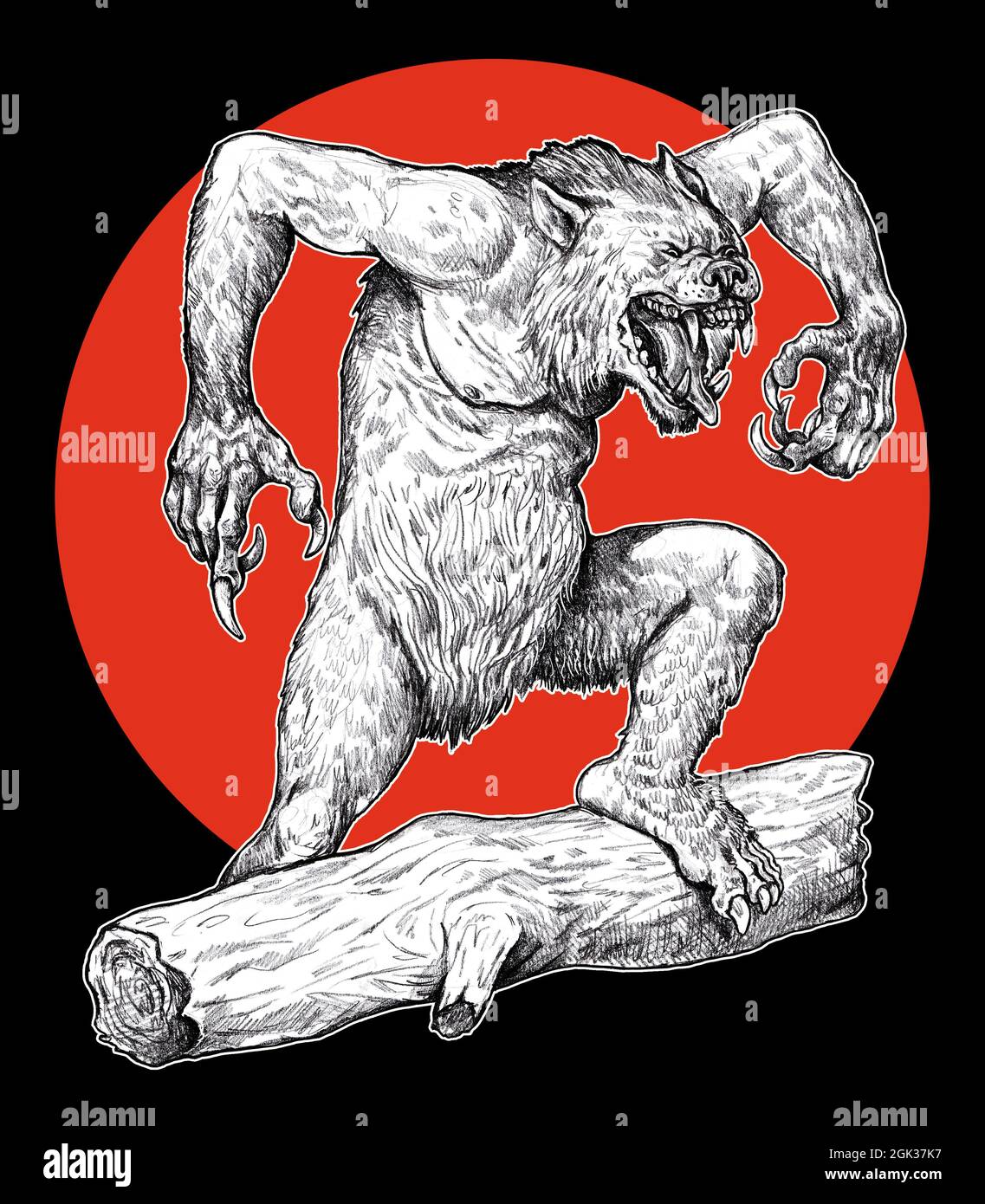 Werewolf roaring drawing. Fantasy monster illustration. Halloween ...