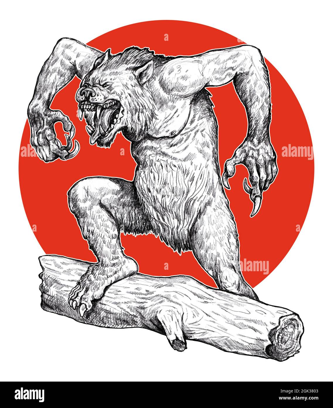 Werewolf roaring drawing. Fantasy monster illustration. Halloween ...