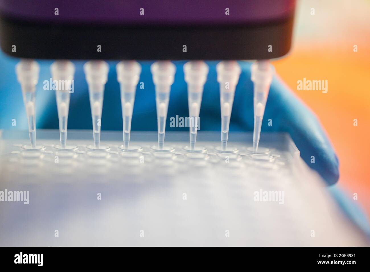 Laboratory instruments used to test vaccines and drugs for viruses and ...