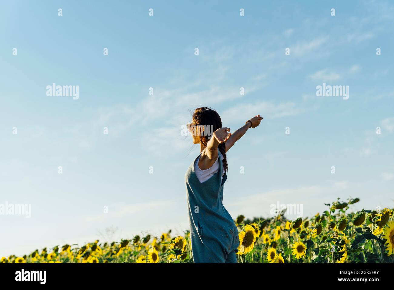 adult woman with open arms in a field of sunflowers. feeling of freedom ...