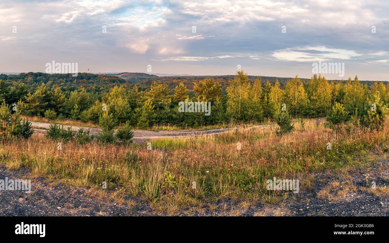 view from the mining heap on forests and other heaps and mining ...