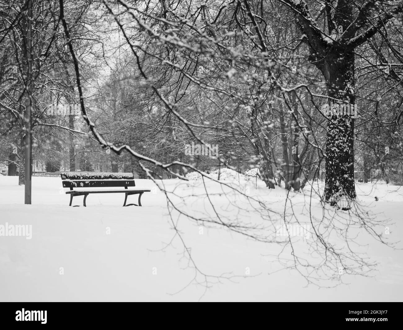 City park bench in snow hi-res stock photography and images - Alamy