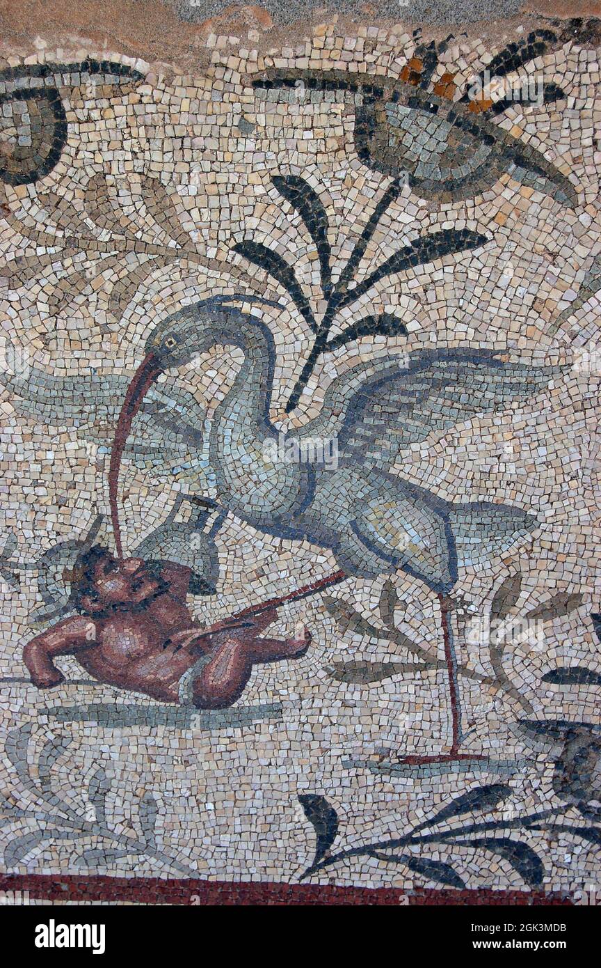 An ancient Roman mosaic in the historic Villa Silene, also known as ...