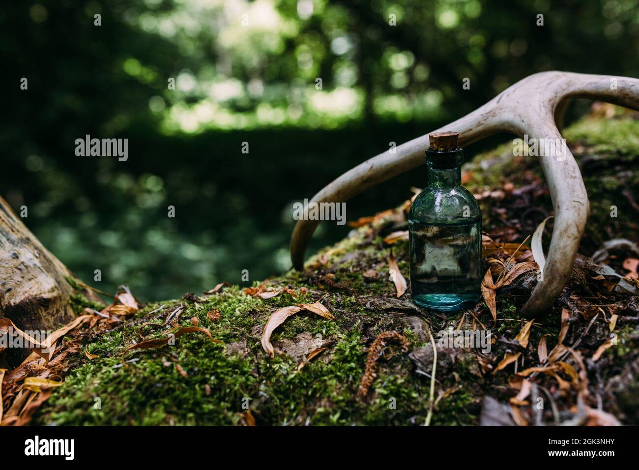 Glass bottles are filled with magic ingredients, potion. Mysterious ...
