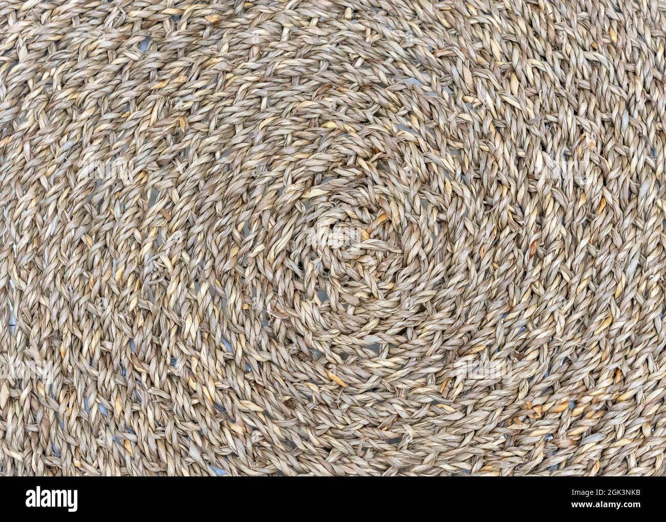 Seaweed texture hi-res stock photography and images - Alamy