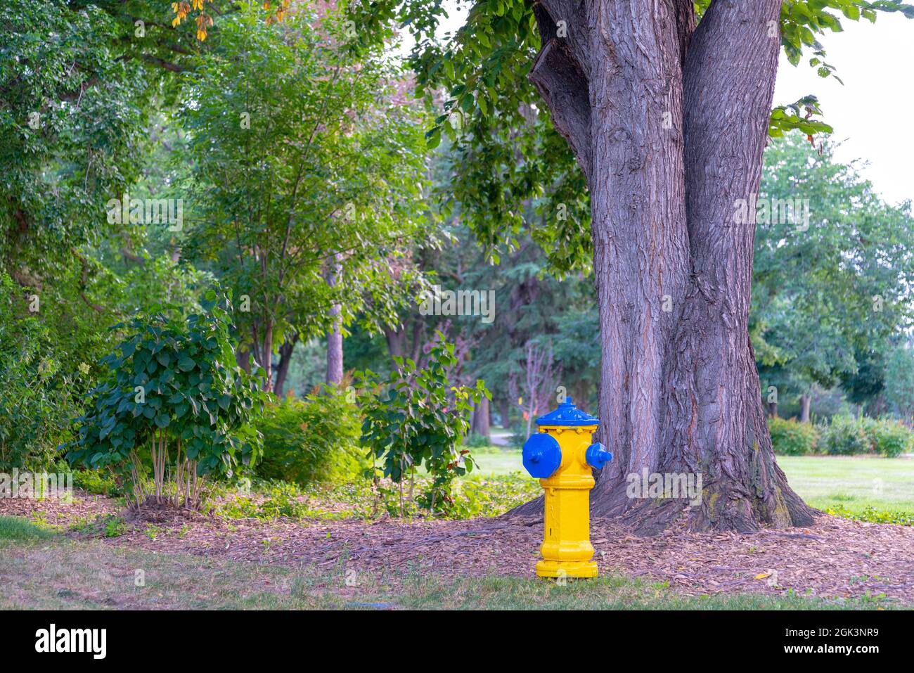 Playing in fire hydrant hi-res stock photography and images - Alamy