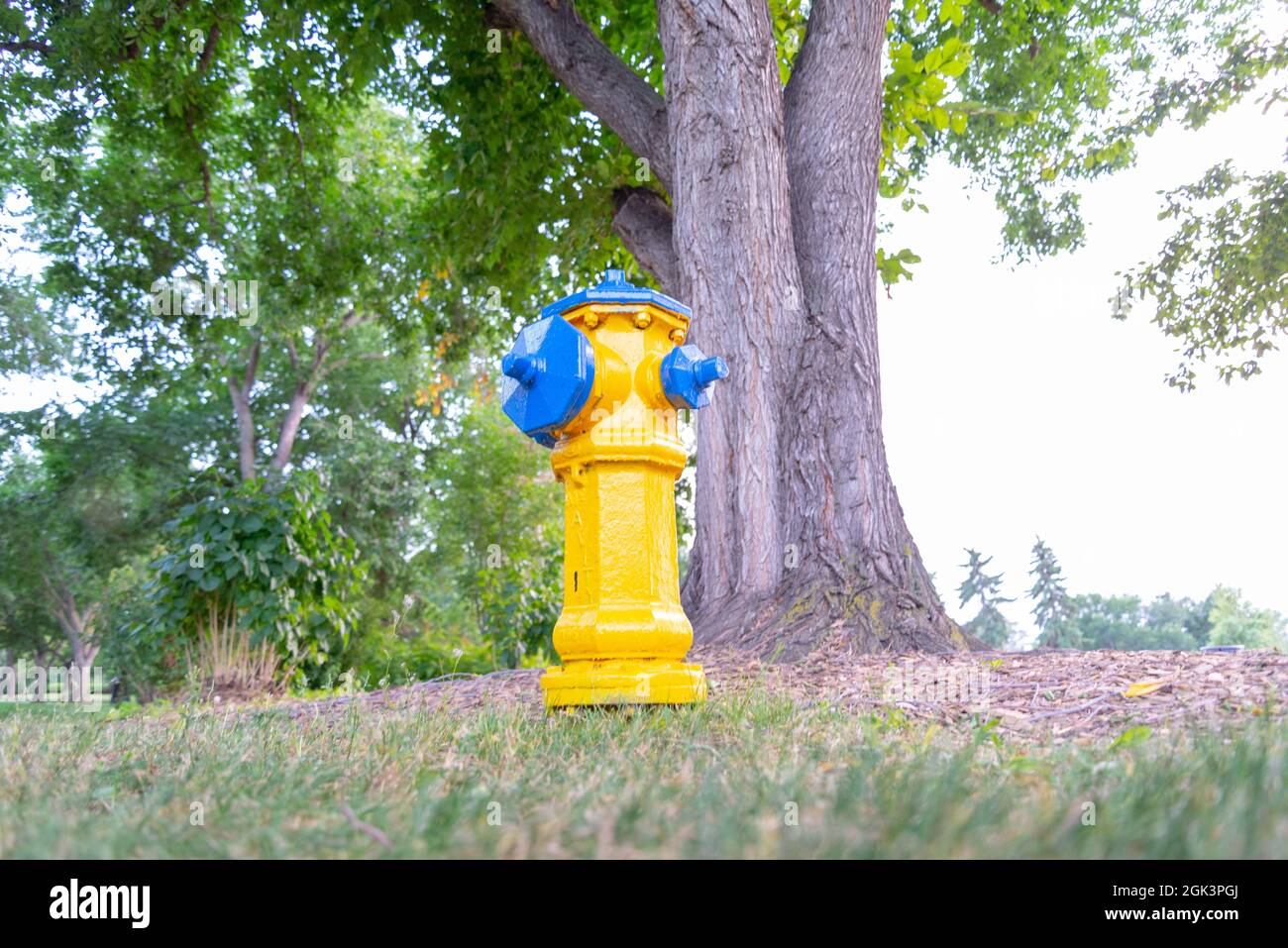 Playing in fire hydrant hi-res stock photography and images - Alamy
