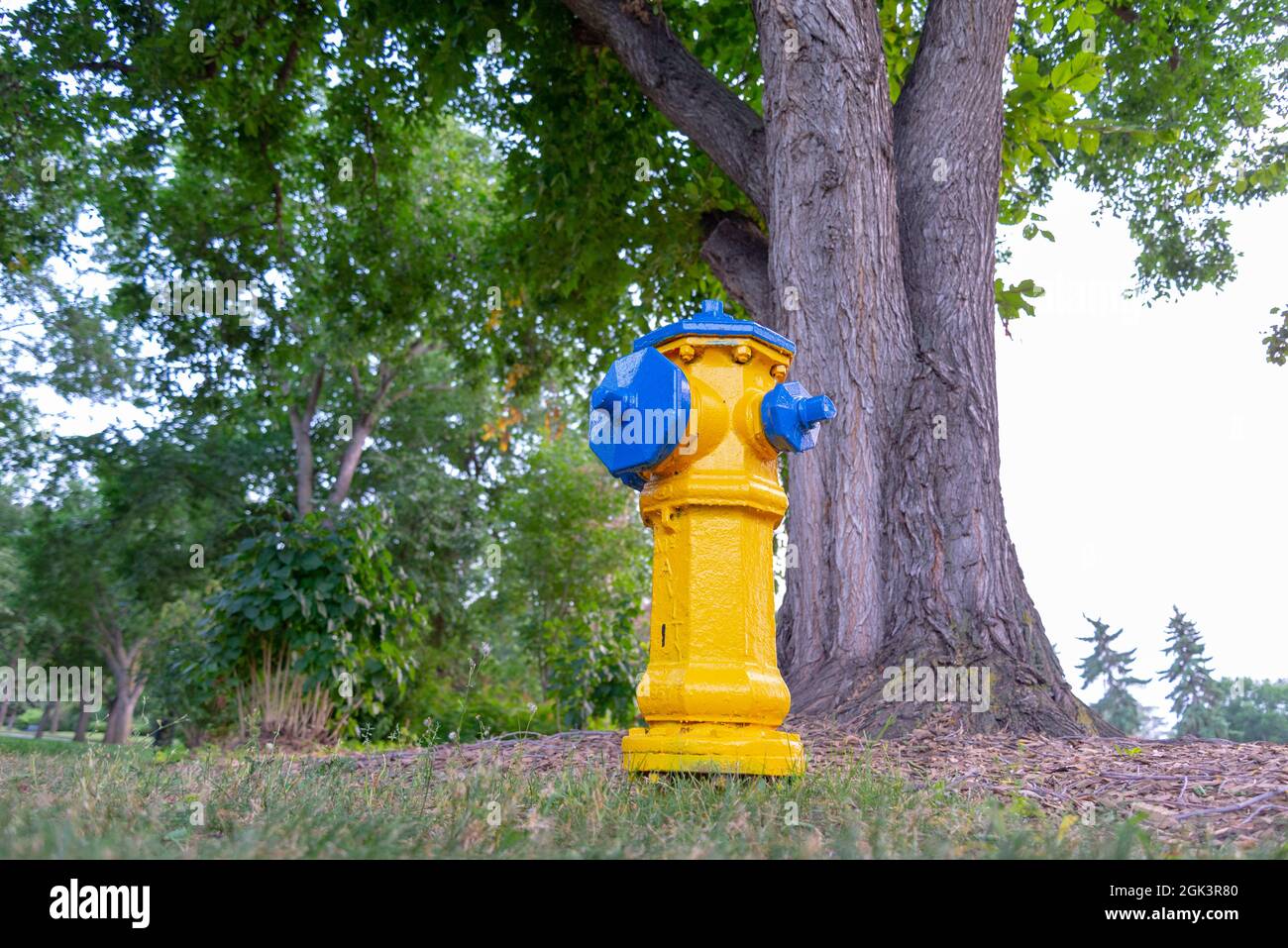 Playing in fire hydrant hi-res stock photography and images - Alamy