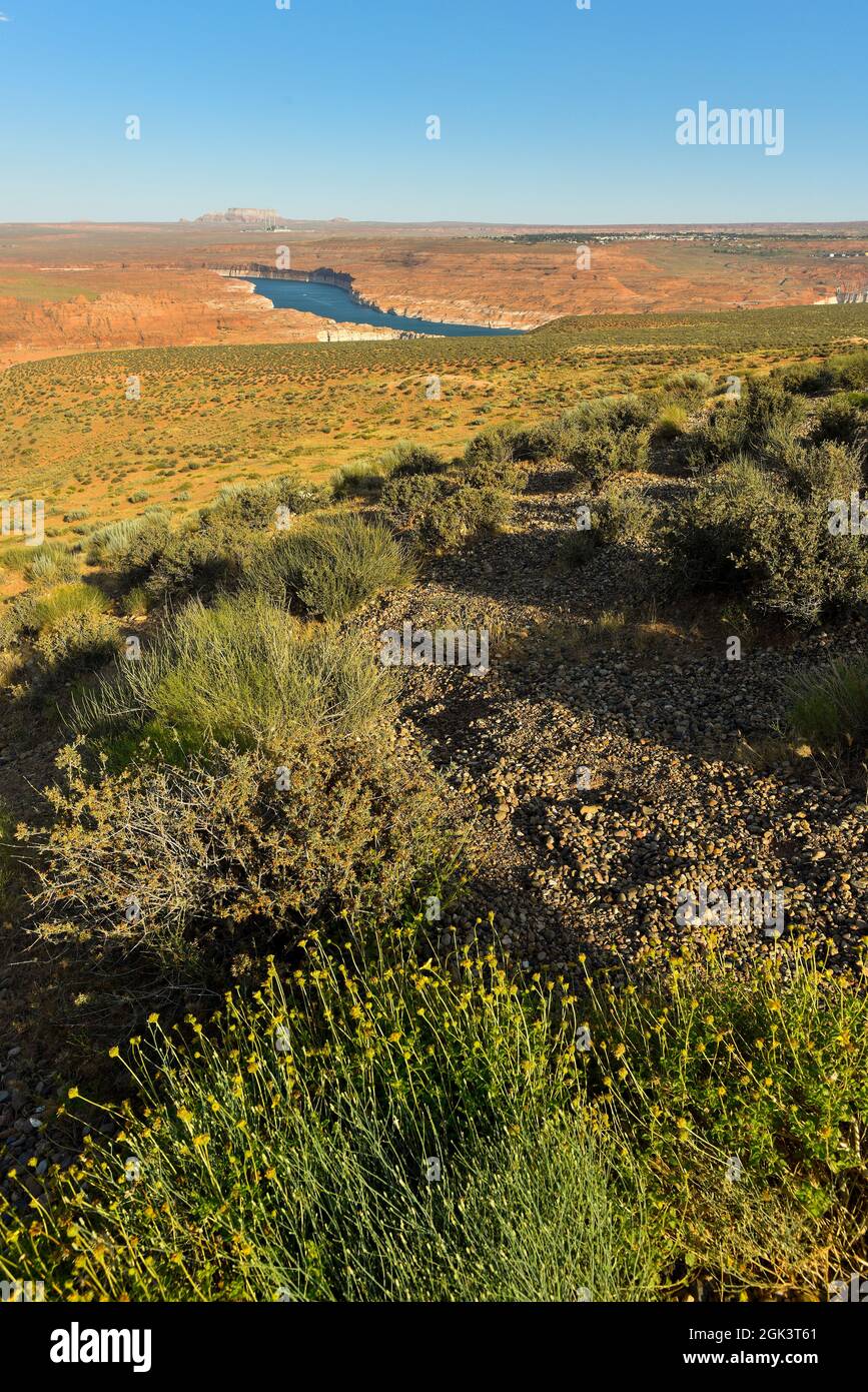 Desert Southwest Landscape Stock Photo - Alamy