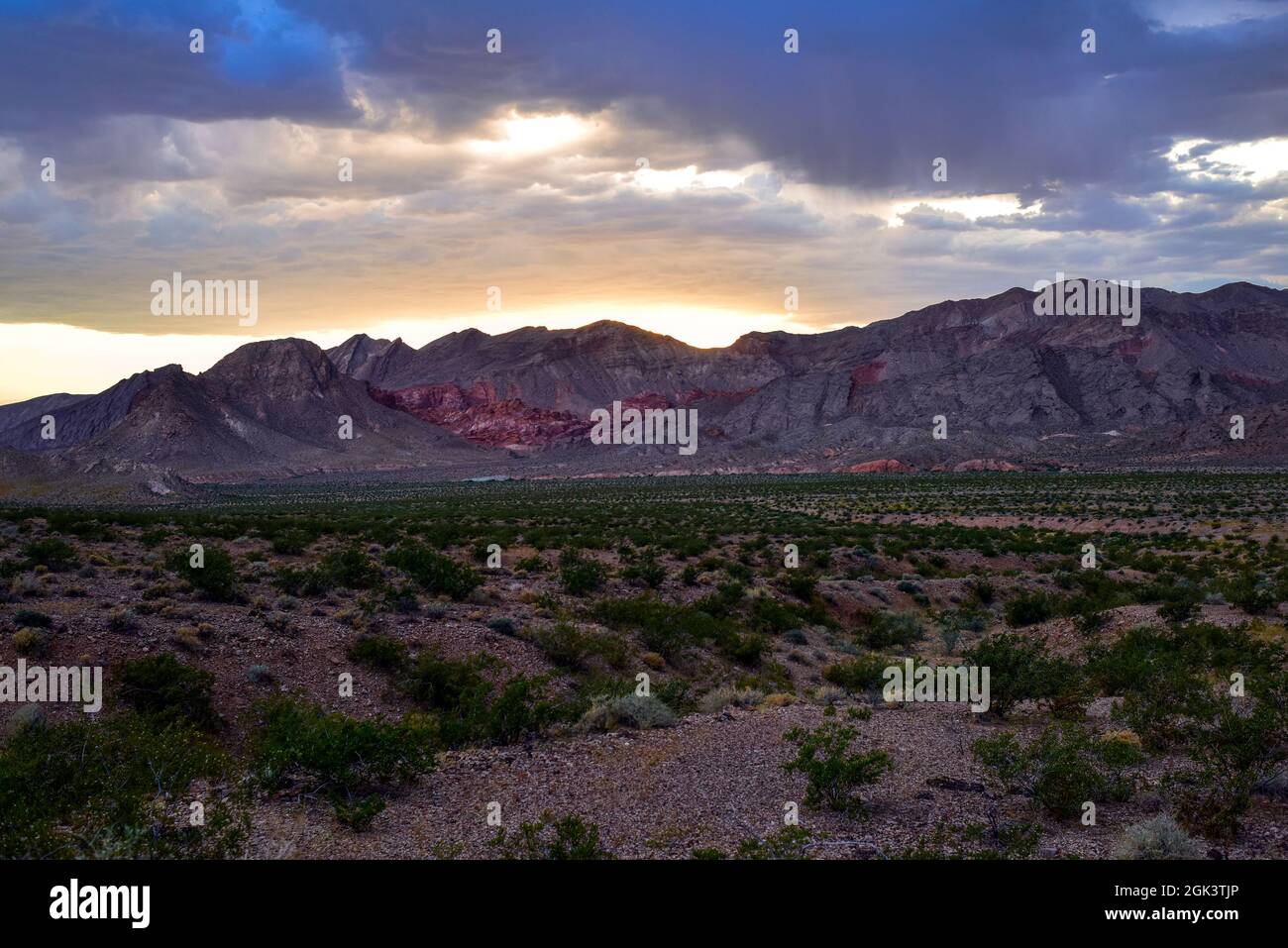 Desert Southwest Landscape Stock Photo - Alamy