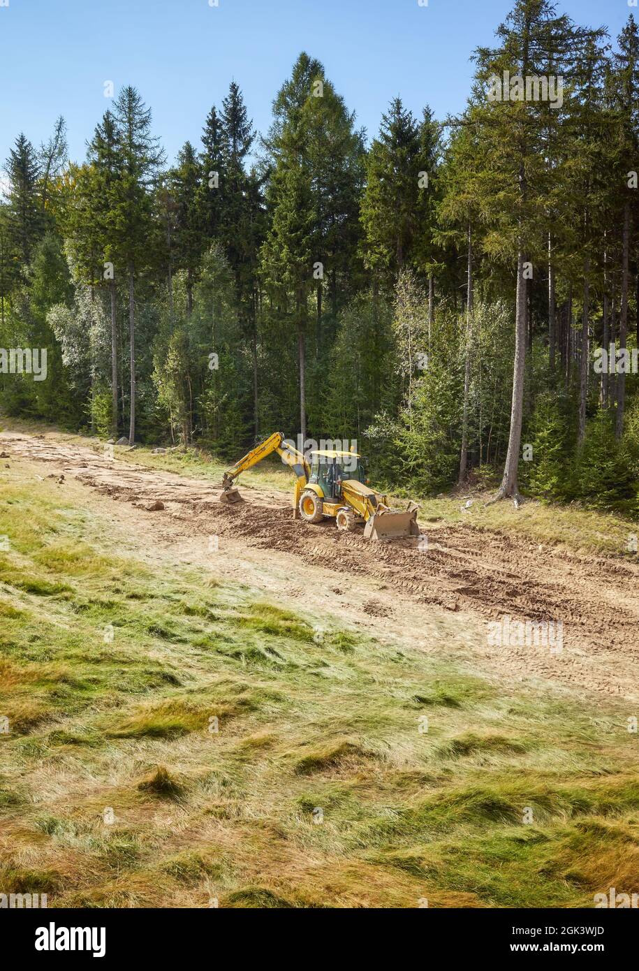 Slope forest hi-res stock photography and images - Alamy