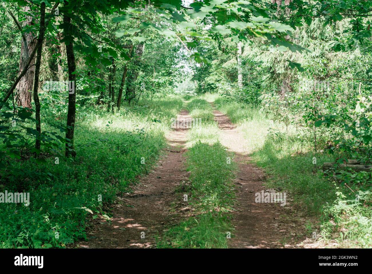 Partially blurred creative background image of sandy path in summer ...