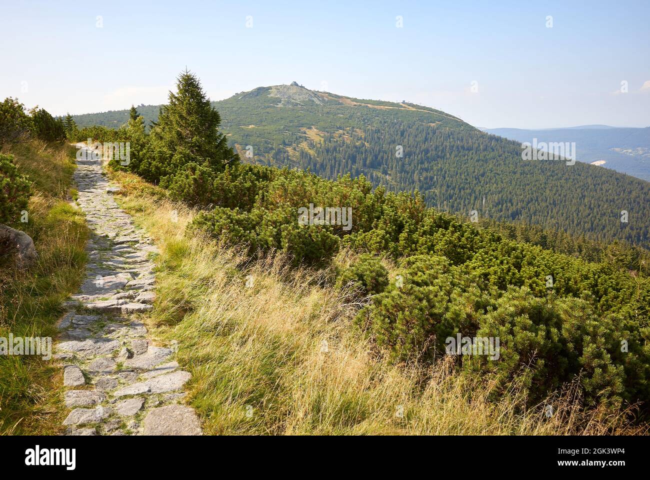 Stone path trail in Giant Mountains, Poland Stock Photo - Alamy