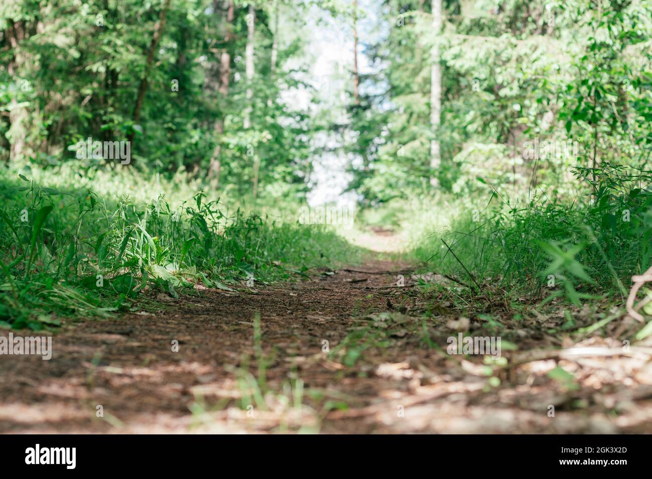 Partially blurred creative background image of sandy path in summer ...