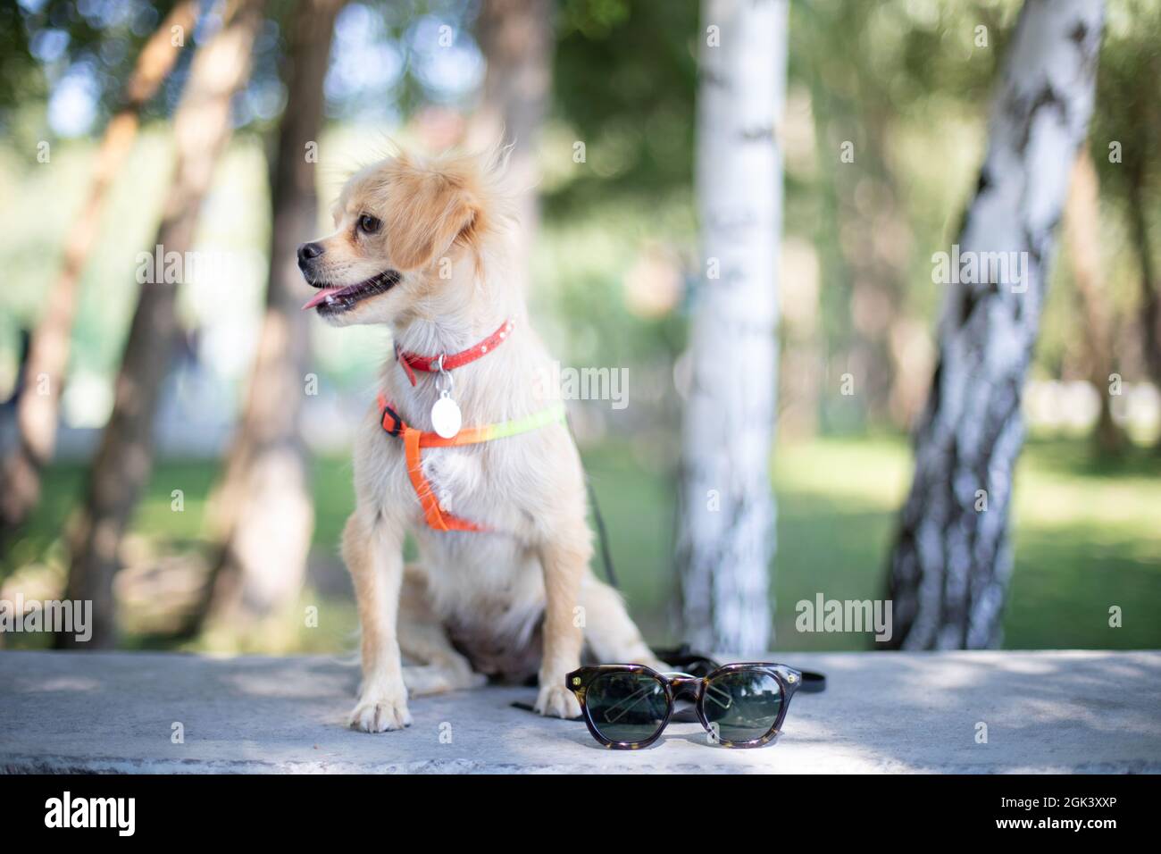 Smilling sun hi-res stock photography and images - Alamy