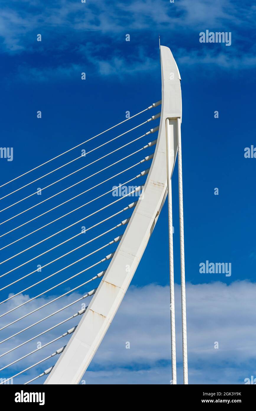 Cable-stayed Assut de l'Or Bridge, City of Arts and Sciences, Valencia ...