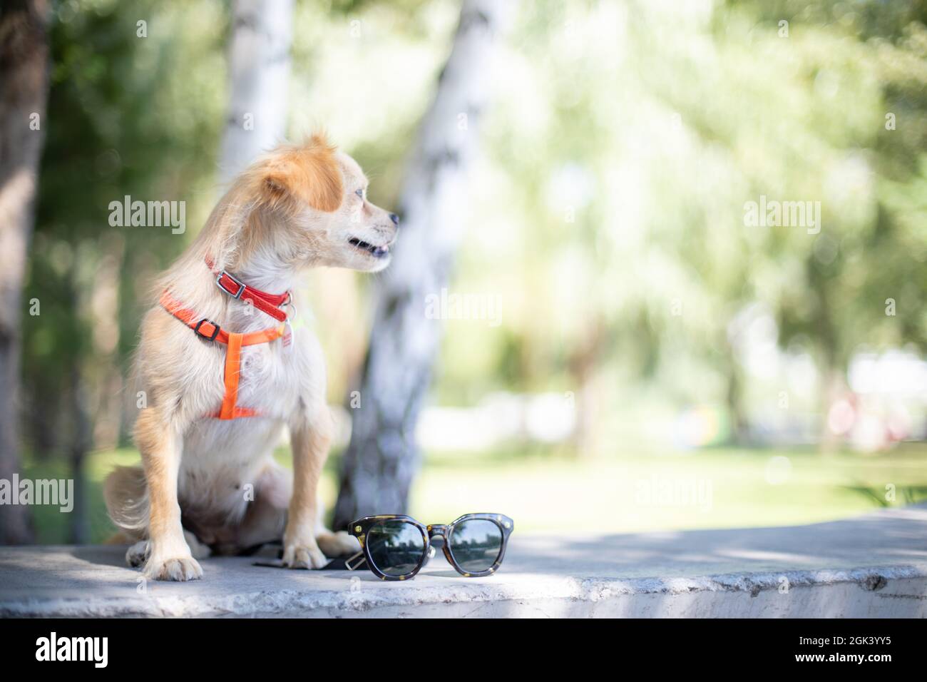 Smilling sun hi-res stock photography and images - Alamy