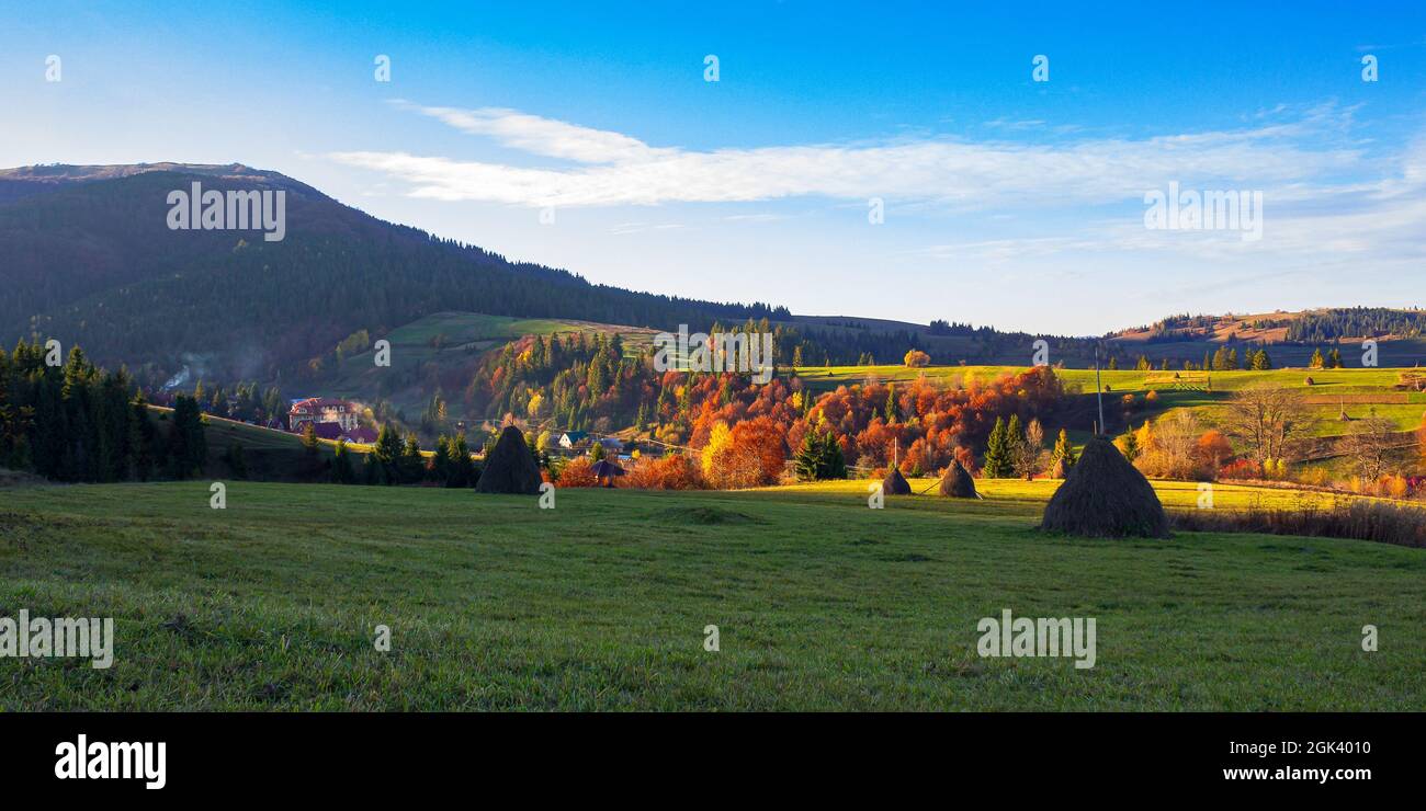 rural landscape in mountains. grassy meadows with high stacks on the ...