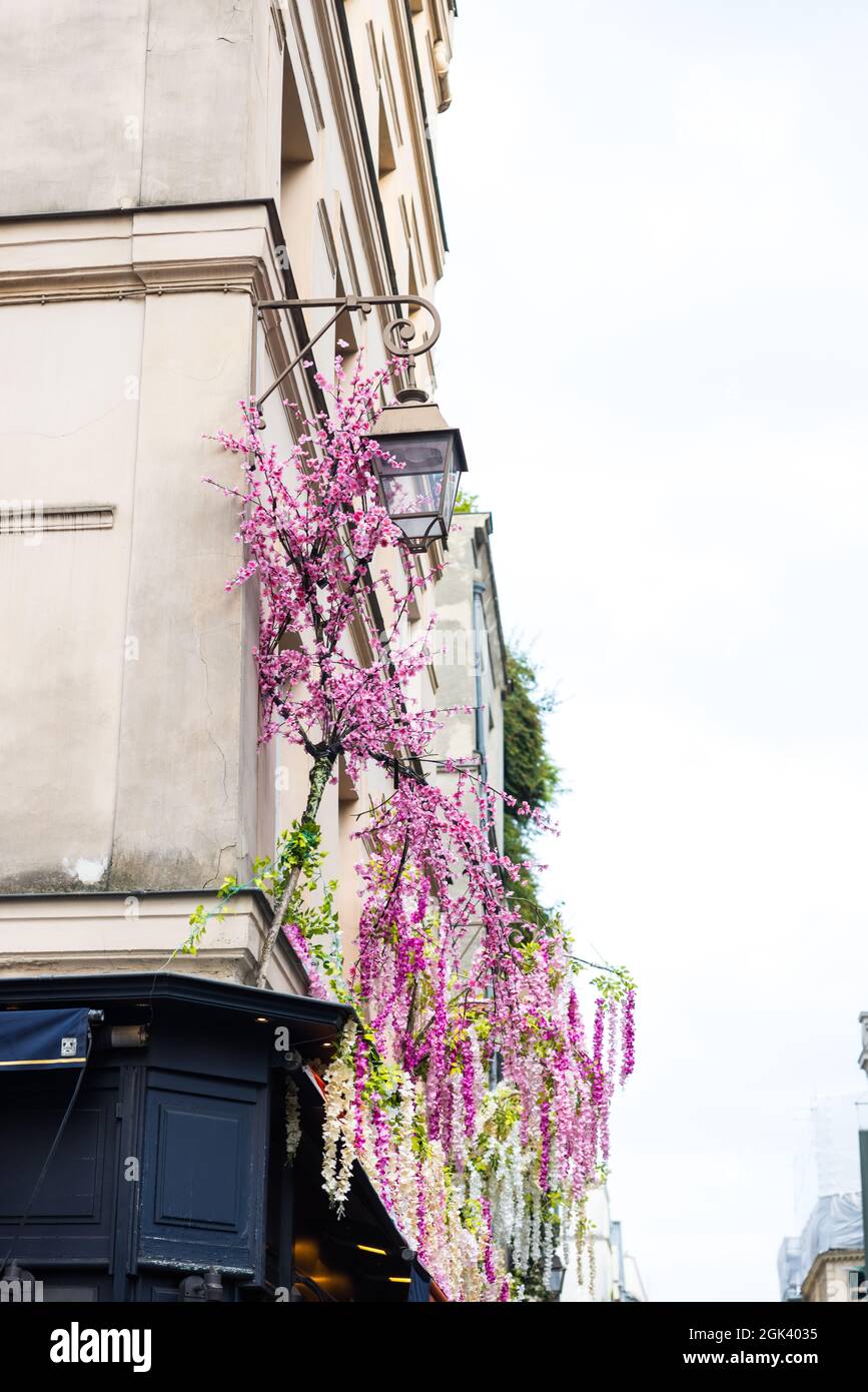 Vertical shot of a balcony decorated with purple flowers Stock Photo ...