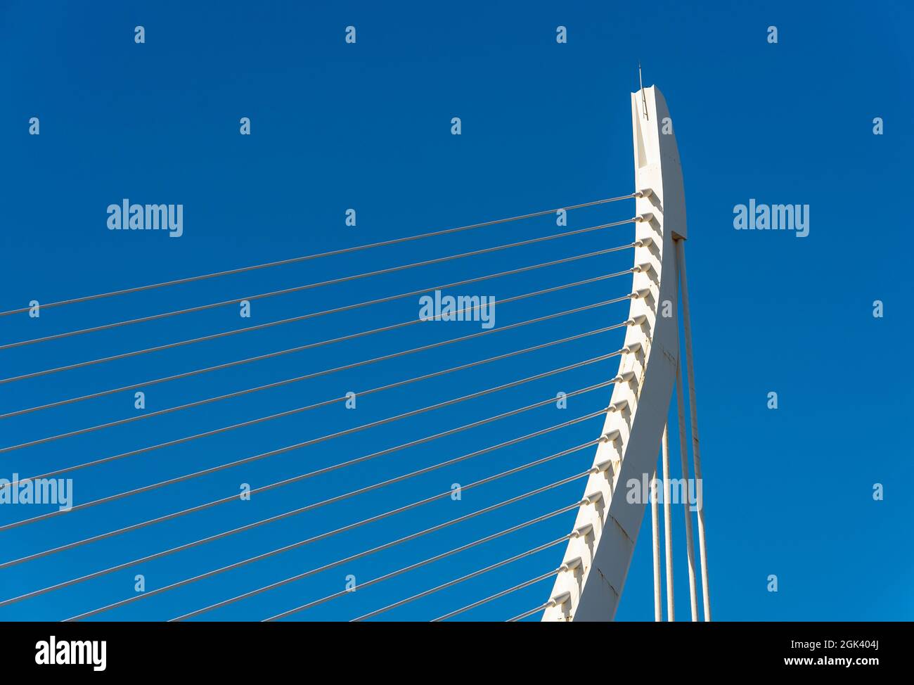 Cable-stayed Assut de l'Or Bridge, City of Arts and Sciences, Valencia ...