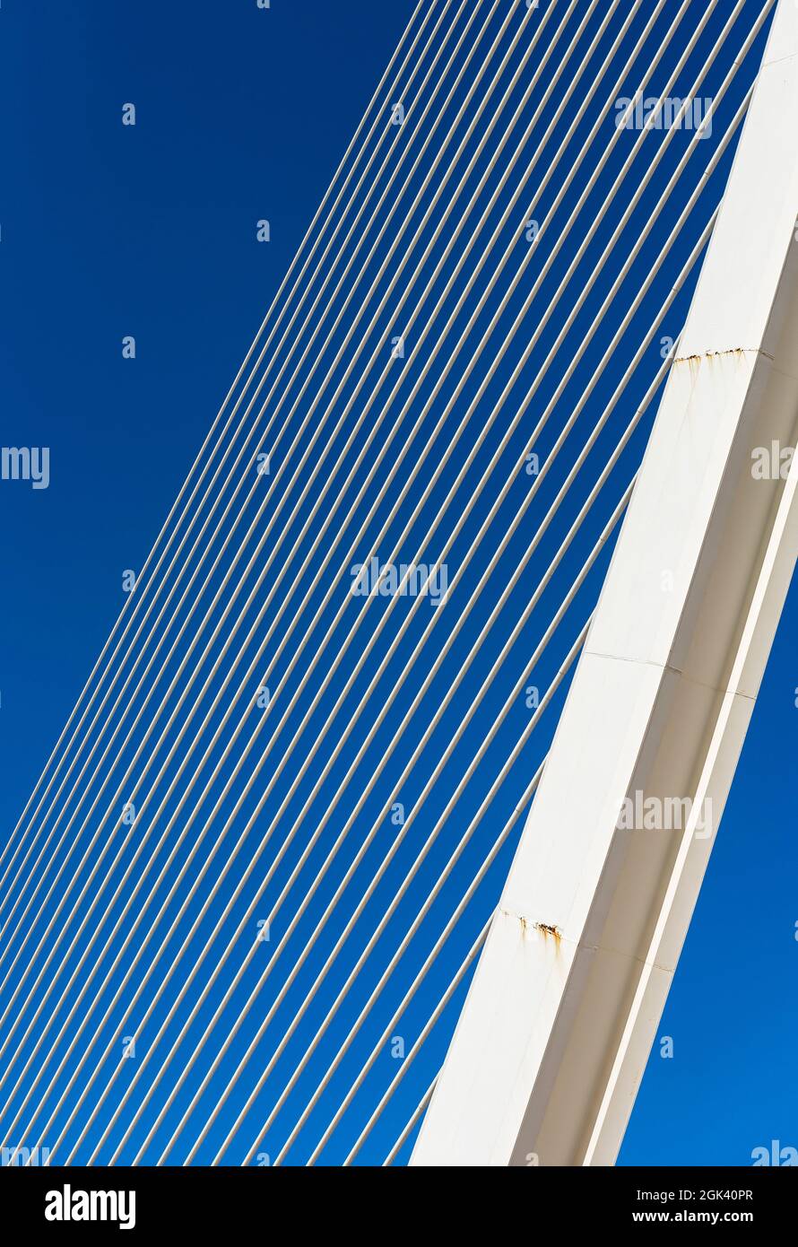 Cable-stayed Assut de l'Or Bridge, City of Arts and Sciences, Valencia ...