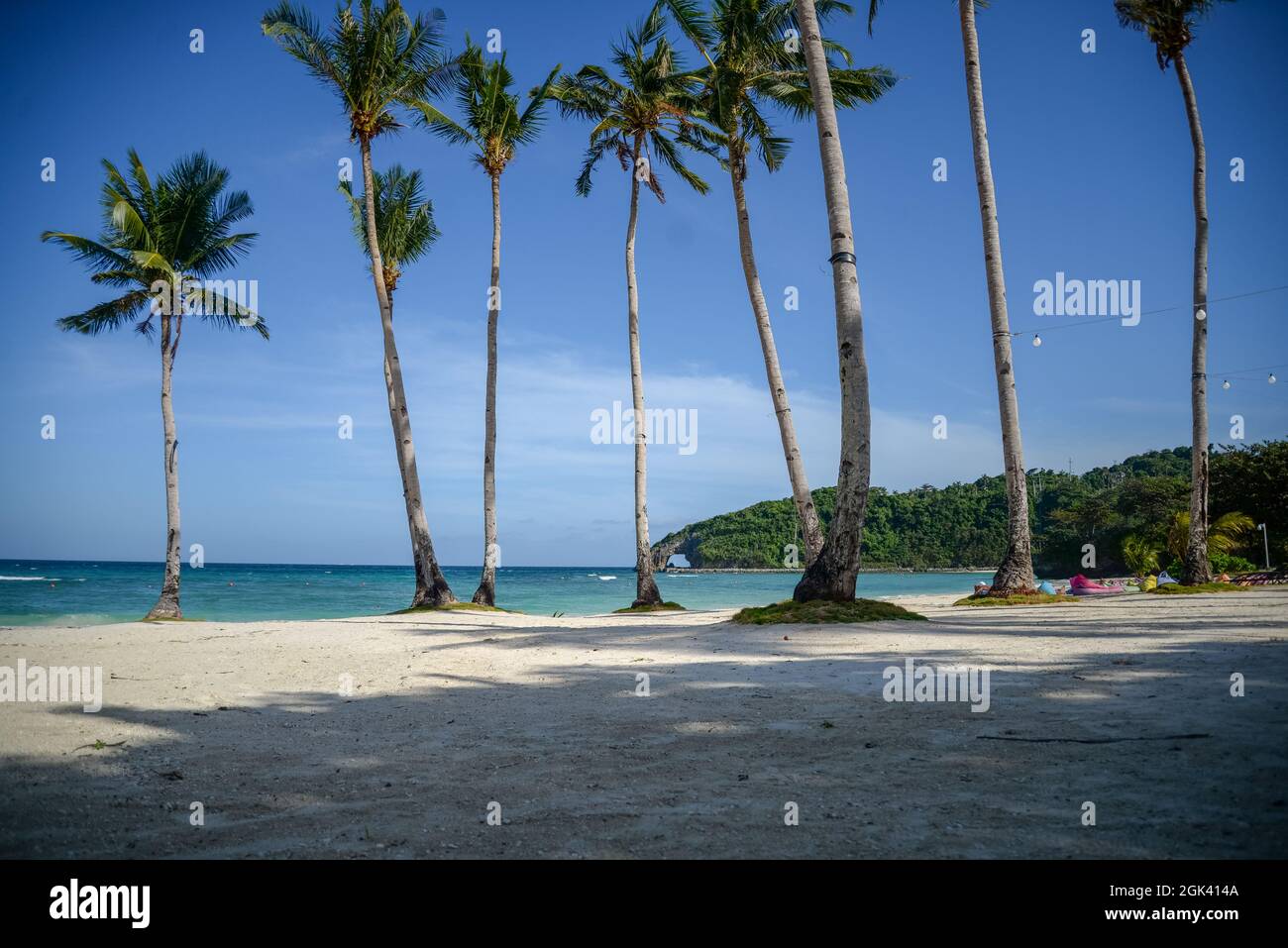 beachside palm trees Stock Photo - Alamy