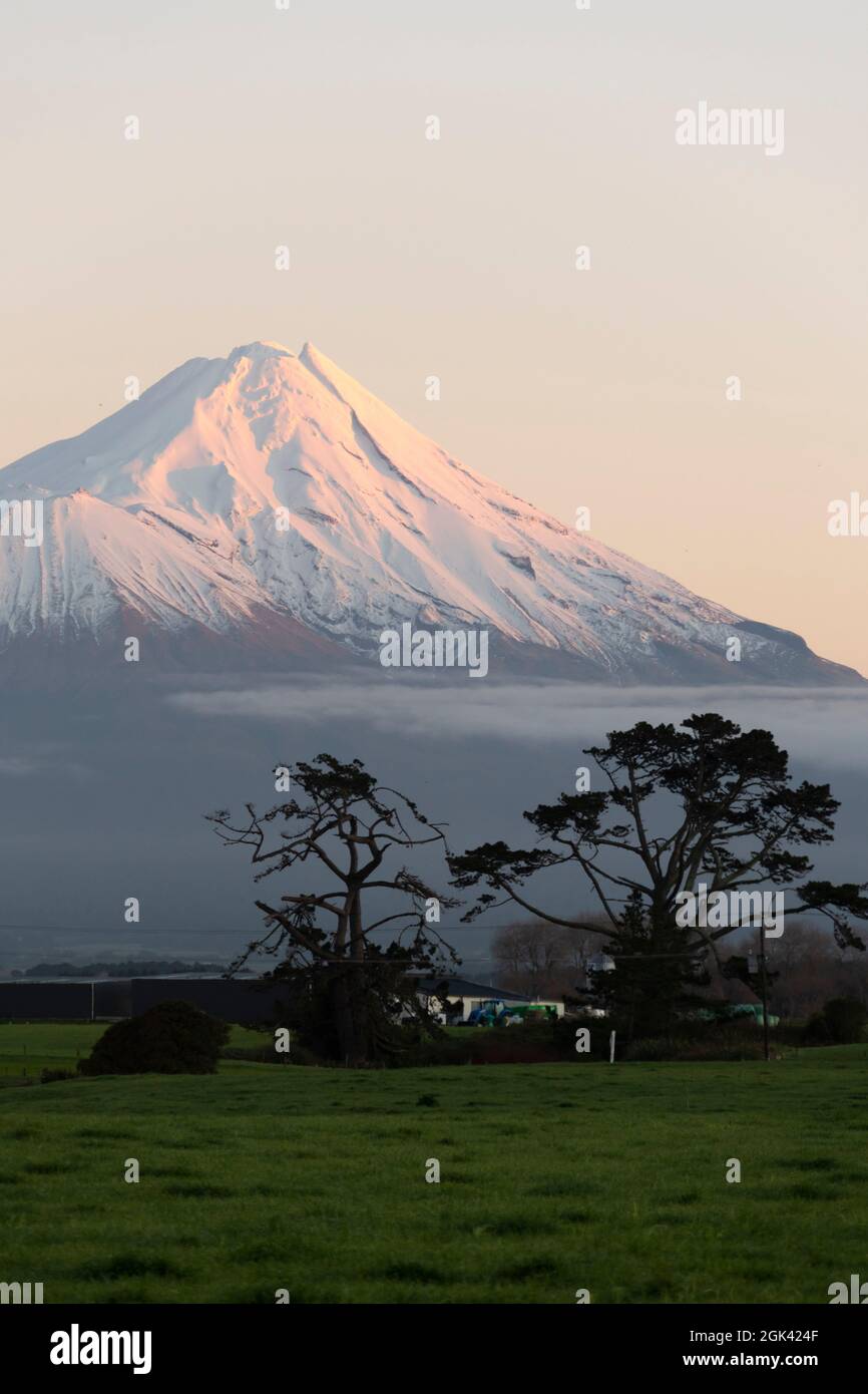 New zealand volcano landscape trees hi-res stock photography and images ...