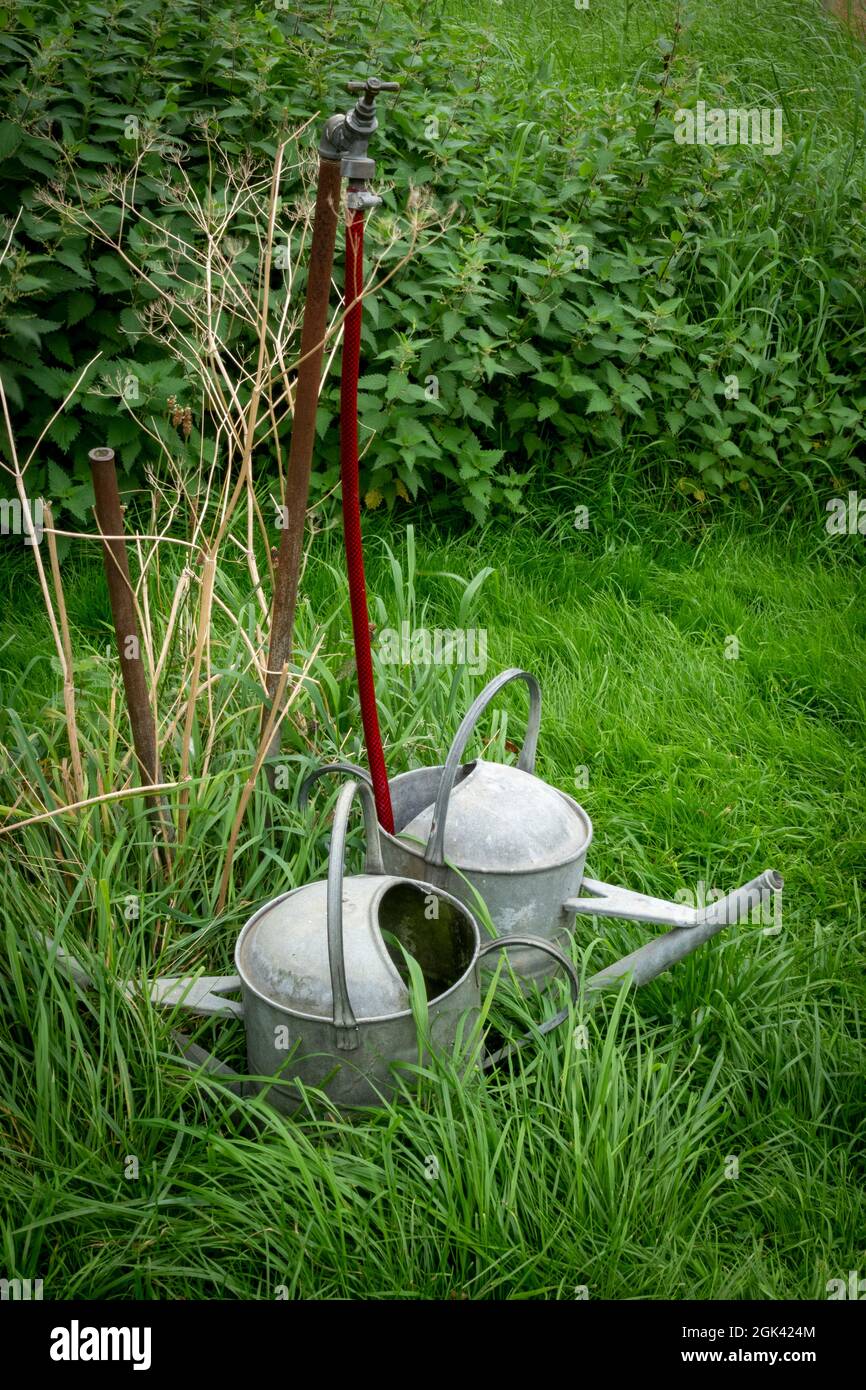 Watering cans water in hi-res stock photography and images - Alamy