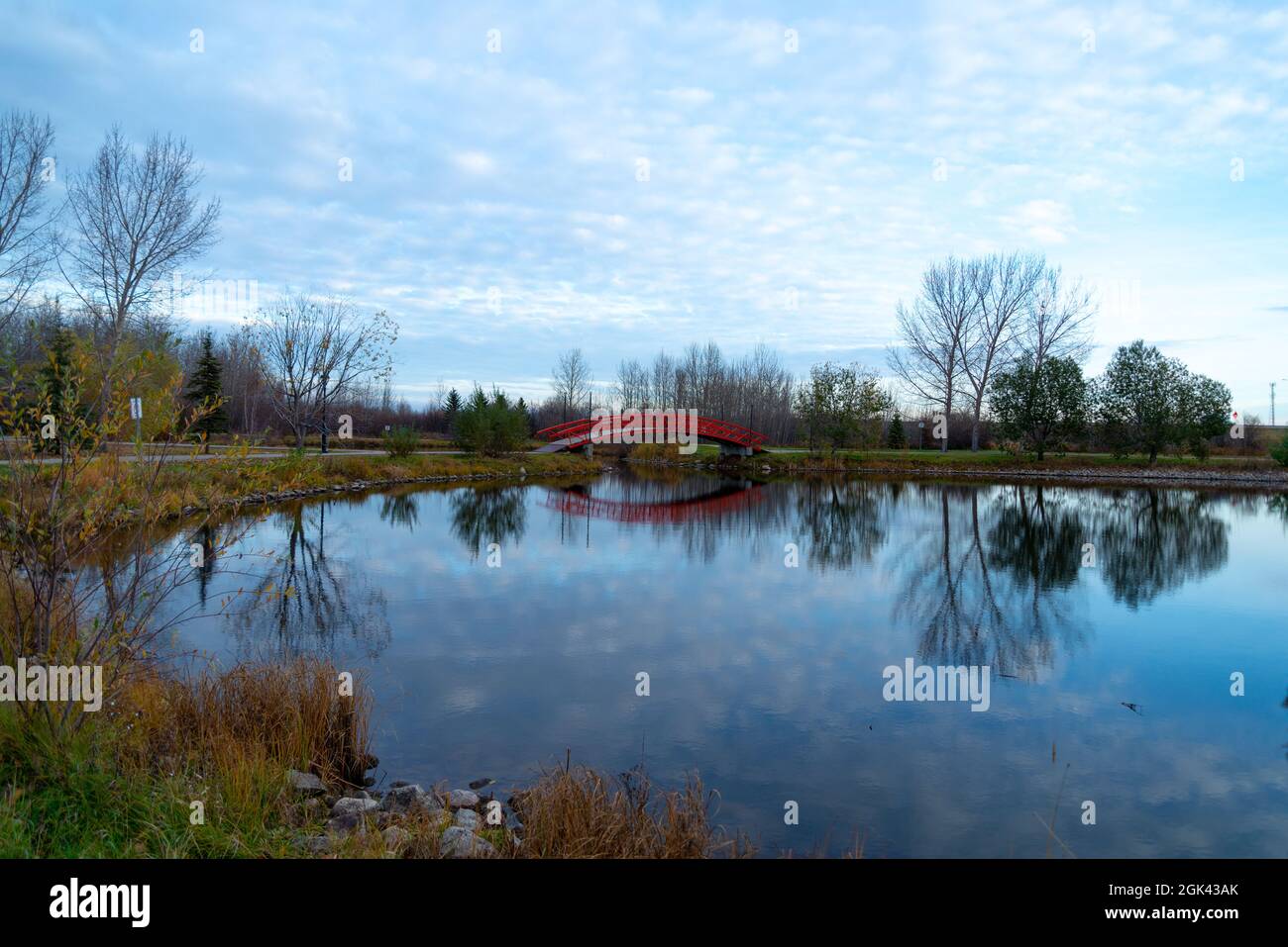 bridge over the river in the park Stock Photo - Alamy