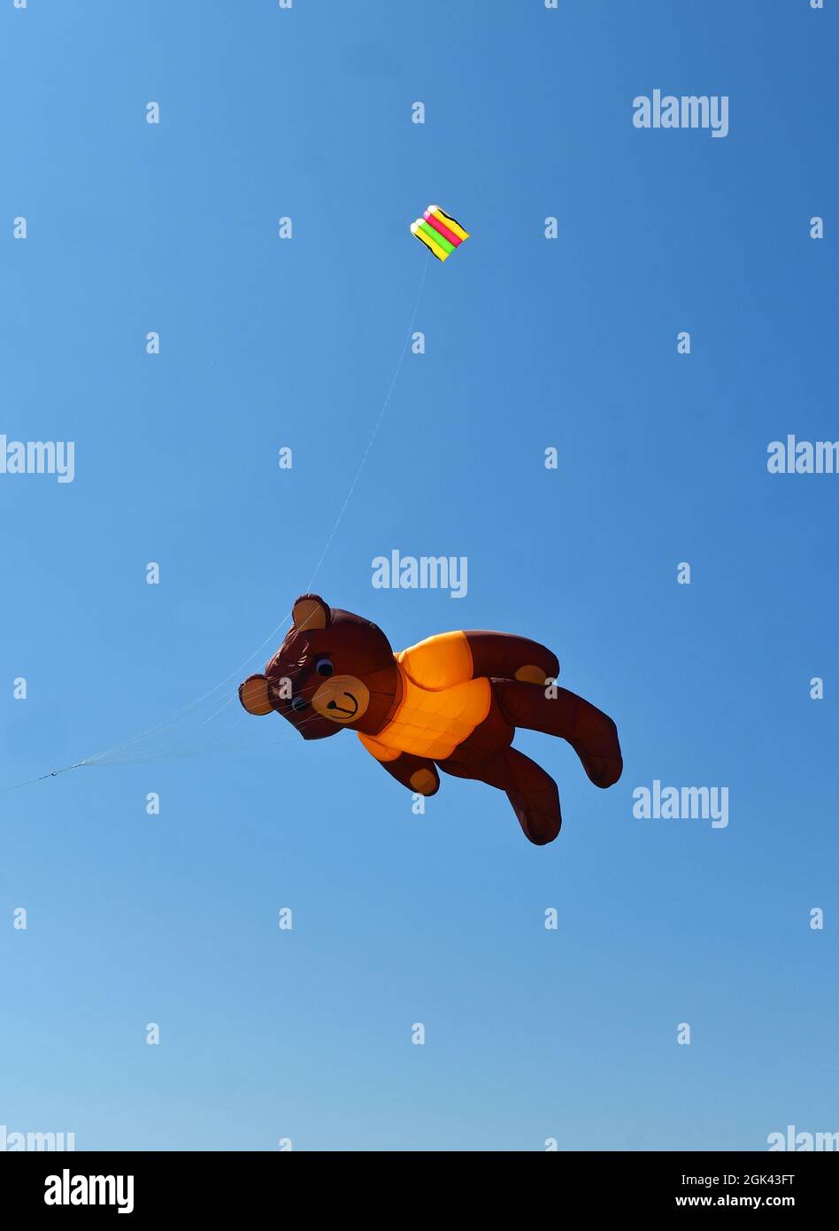 Teddy bear flying in hi-res stock photography and images - Alamy