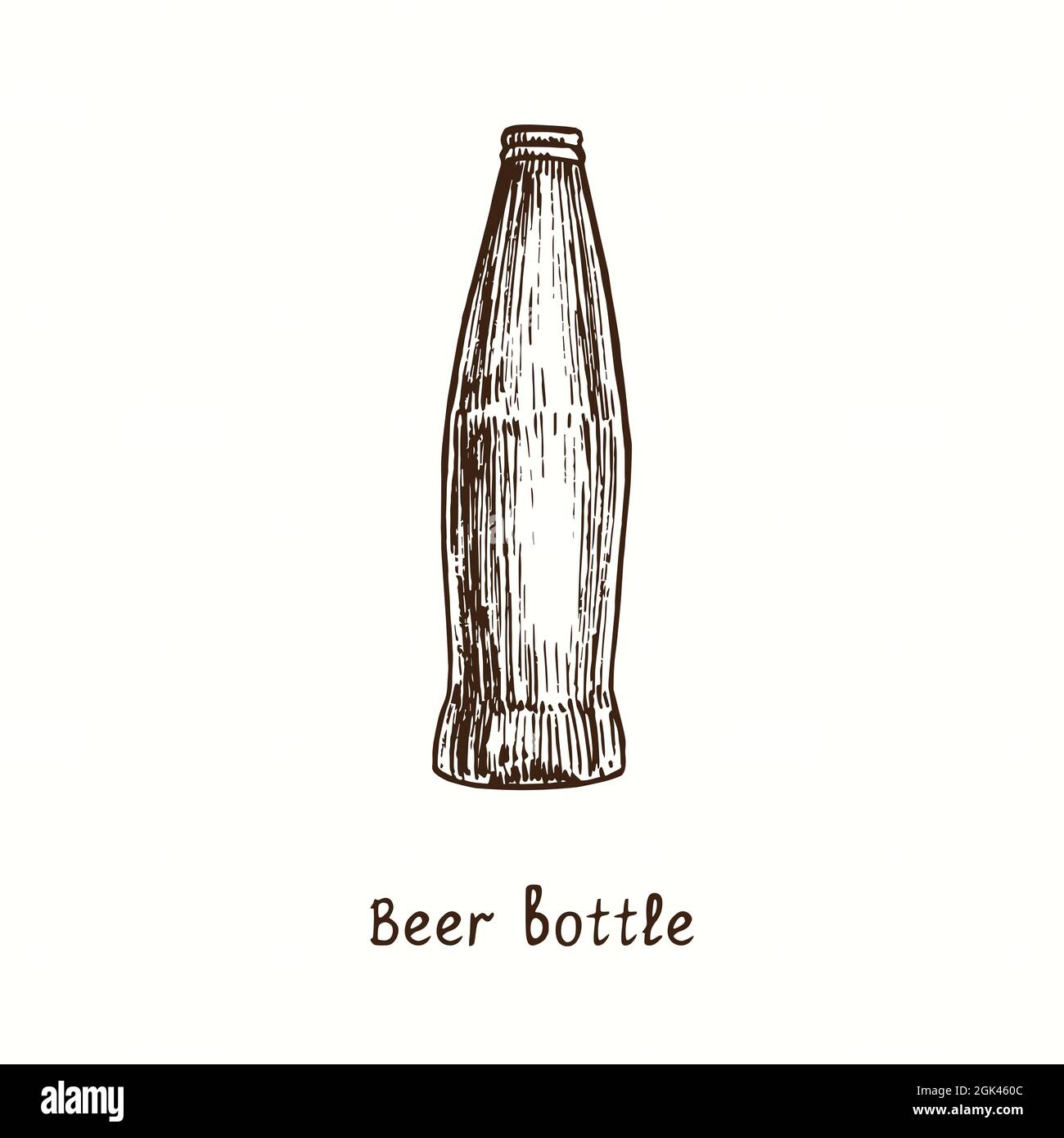 Beer bottle retro vintage style. Ink black and white doodle drawing in ...