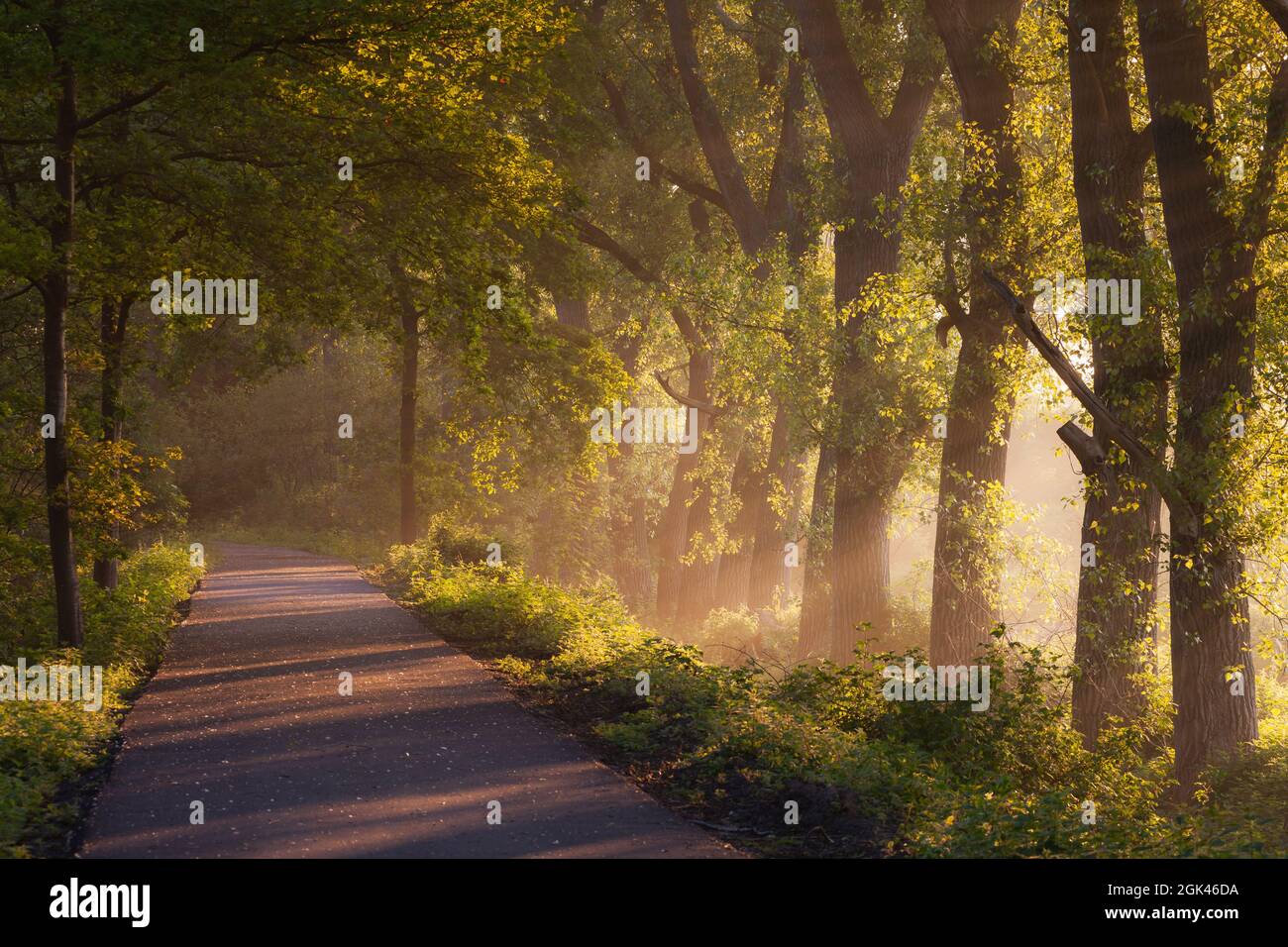 Lokeren hi-res stock photography and images - Alamy