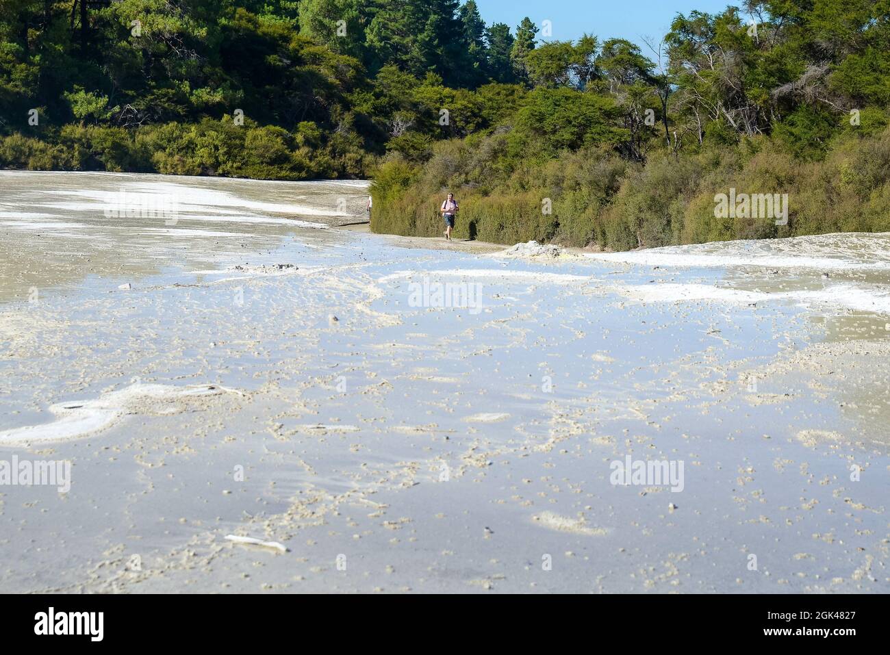 Boiling mud and sulfur springs due to volcanic activity in Wai-O-Tapu ...