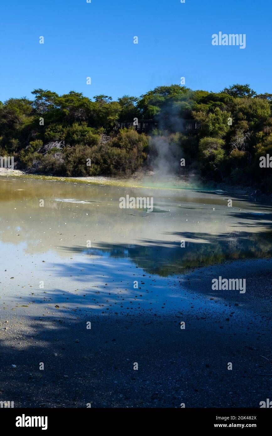 Boiling mud and sulfur springs due to volcanic activity in Wai-O-Tapu ...